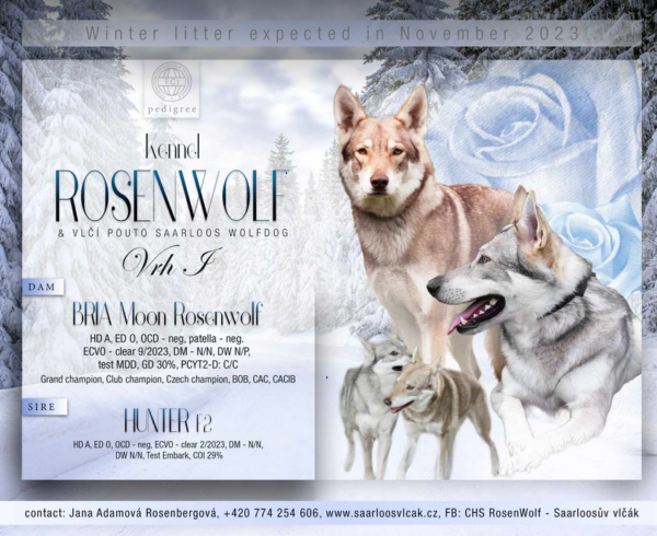 Bria x Hunter – AVLS